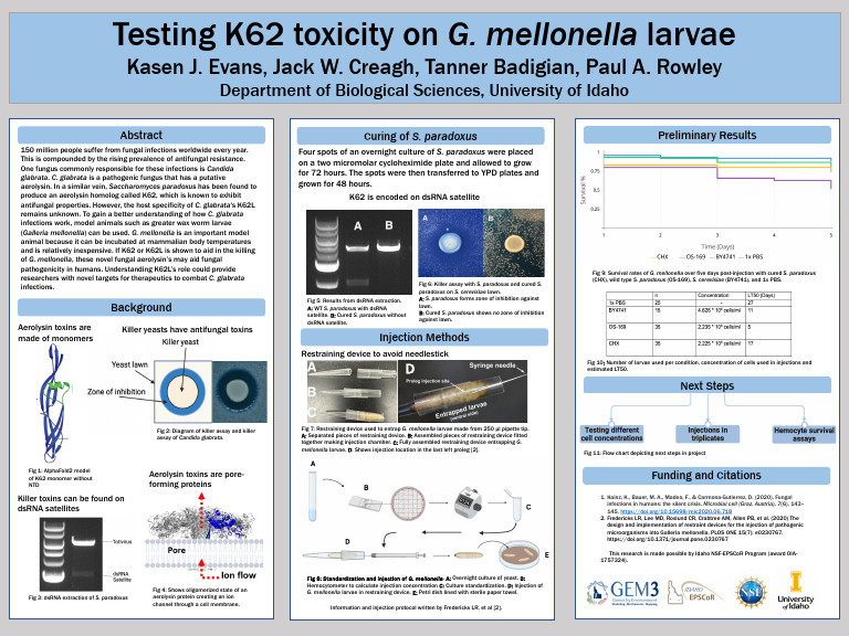 Kasen J. Evans, Jack W. Creagh, Tanner Badigian, Paul A. Rowley | PDF ...