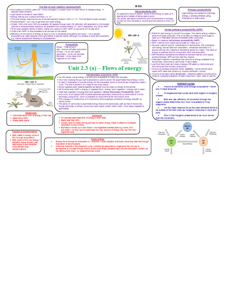 IB ESS Knowledge Bank 9 - 2.3a - Flows of Energy | PDF | Primary ...