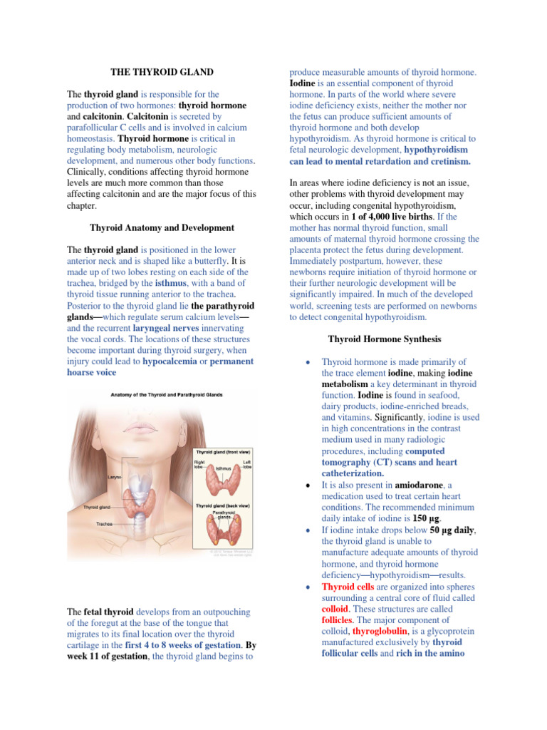 Week 13 Thyroid Gland | PDF | Thyroid Disease | Thyroid