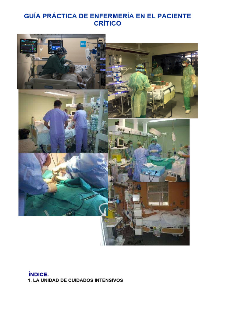 Manual - Criticos - PDF PARA HACER EL LIBRO - Docx DINA | PDF | Unidad ...