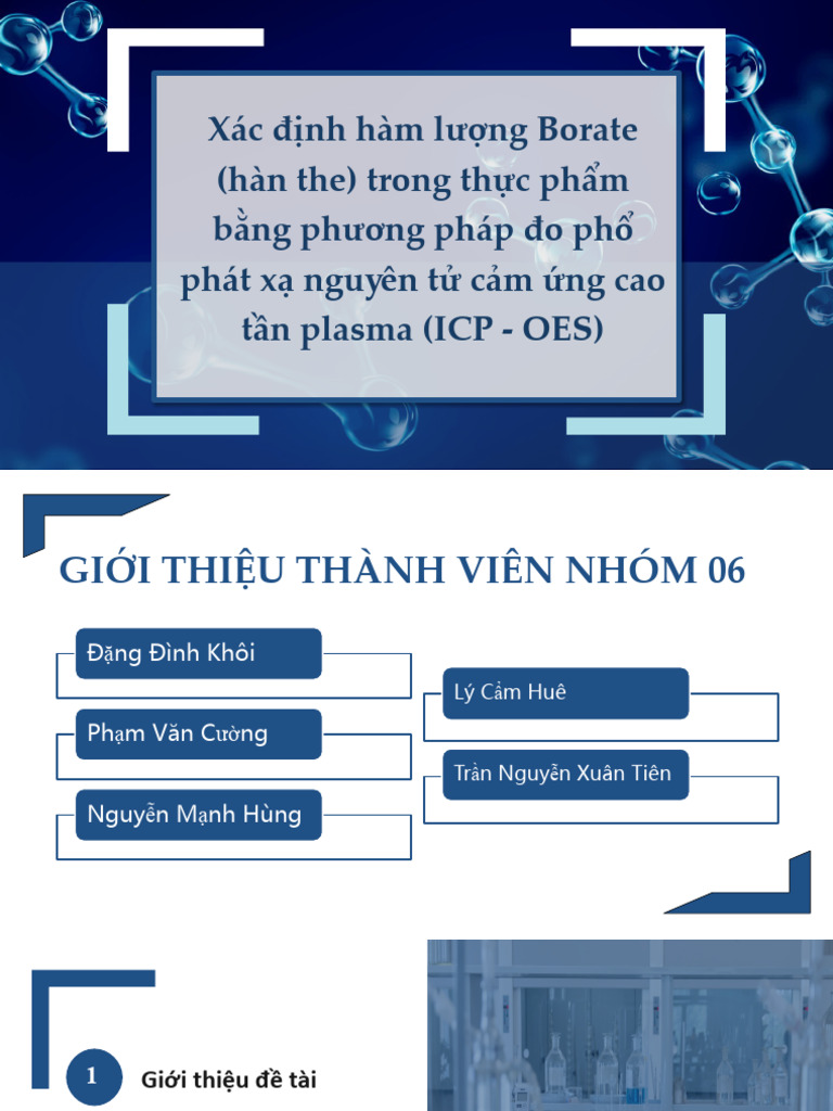 Icp Borate Nhóm 6 PPPTHĐ | PDF