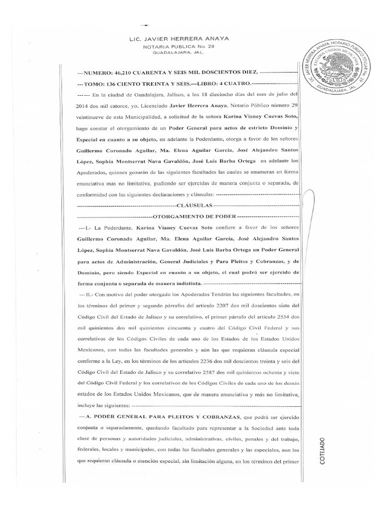 Poder Notarial Dominio | PDF