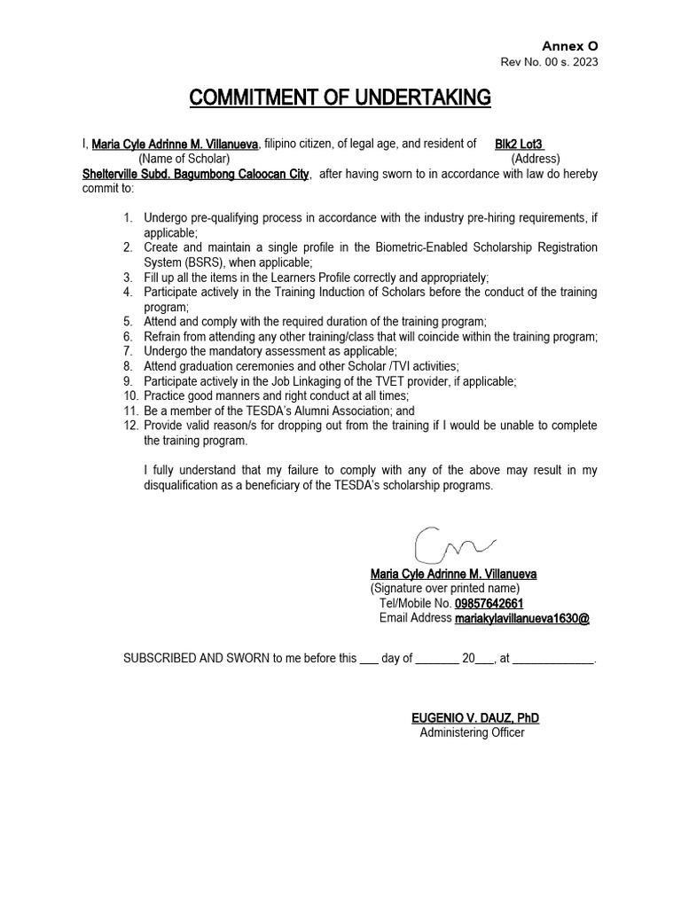 Annex O Commitment of Undertaking | PDF