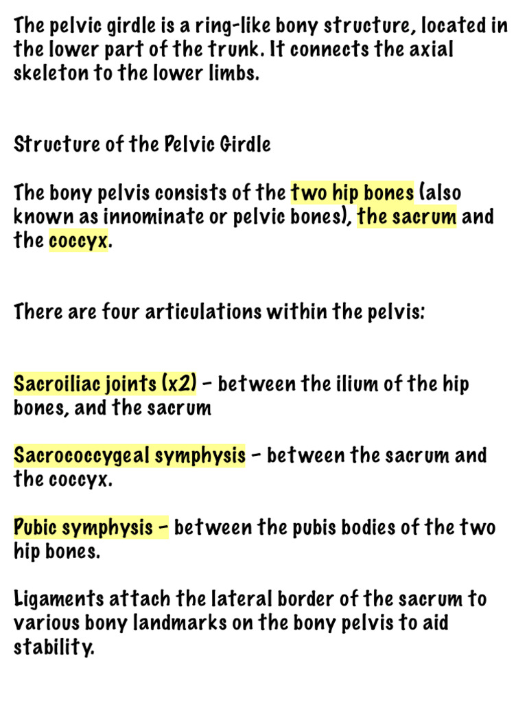 Female Pelvis | PDF | Pelvis | Anatomy