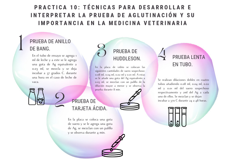 Diagrama 10 Inmuno | PDF