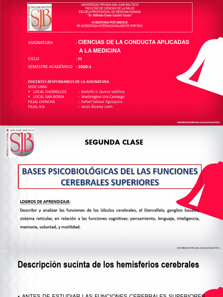 CLASE 2 | PDF | Afasia | Memoria