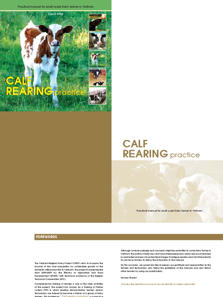 Calf Rearing Practice - Manual | PDF | Calf | Weaning