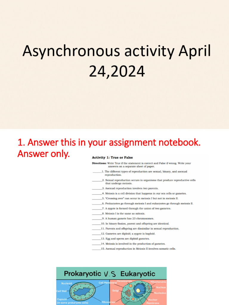 Mendelian Asynchronous Activity April 24 2024 | PDF | Genetics | Genotype