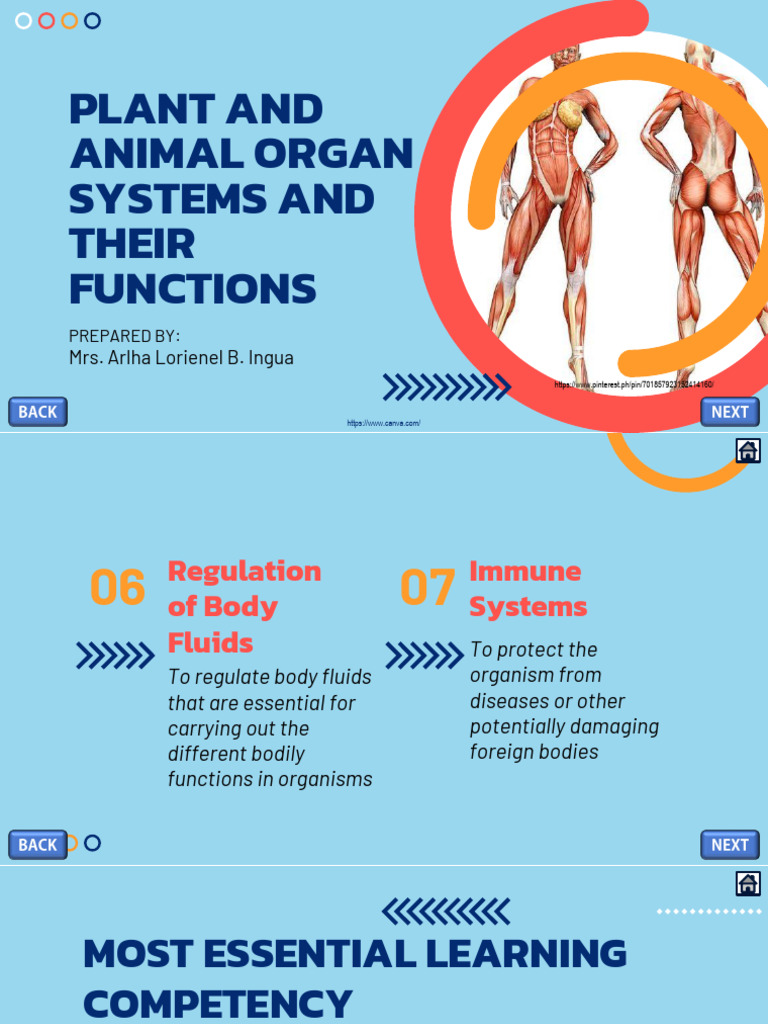 Regulation of Body Fluids Immune Systems Lesson | PDF | Antibody ...