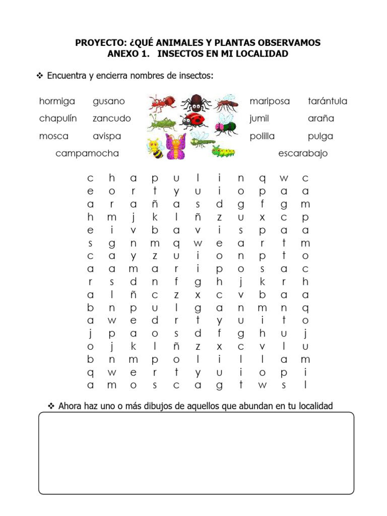 PROYECTO. ¿Qué Animales y Plantas Observamos | PDF | Plantas | Organismos