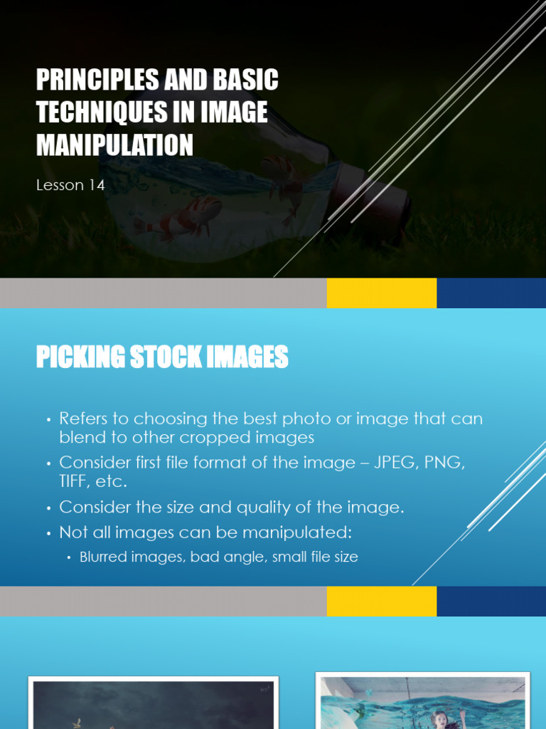 Lesson 14 Principles and Basic Techniques in Image Manipulation | PDF | Image Editing | Graphics