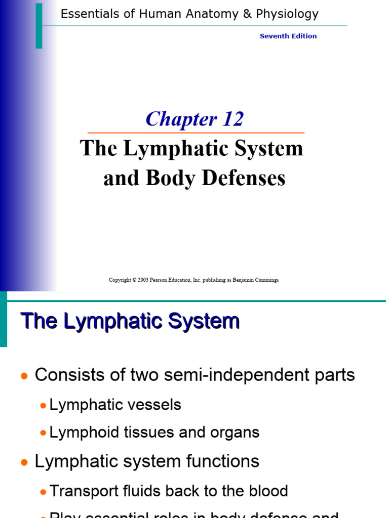Lymphatic System and Immunity 1 | PDF | Lymphatic System | Lymph