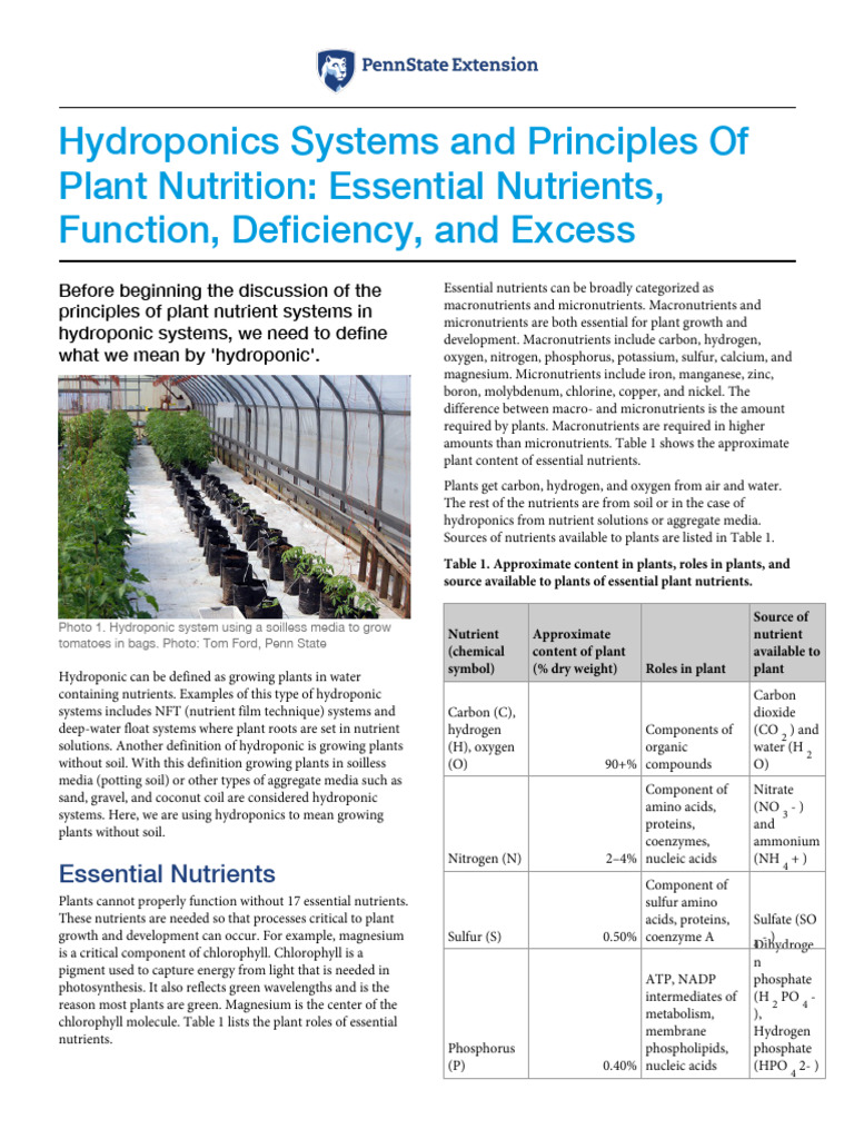 Hydroponics Systems and Principles of Plant Nutrition Essential ...