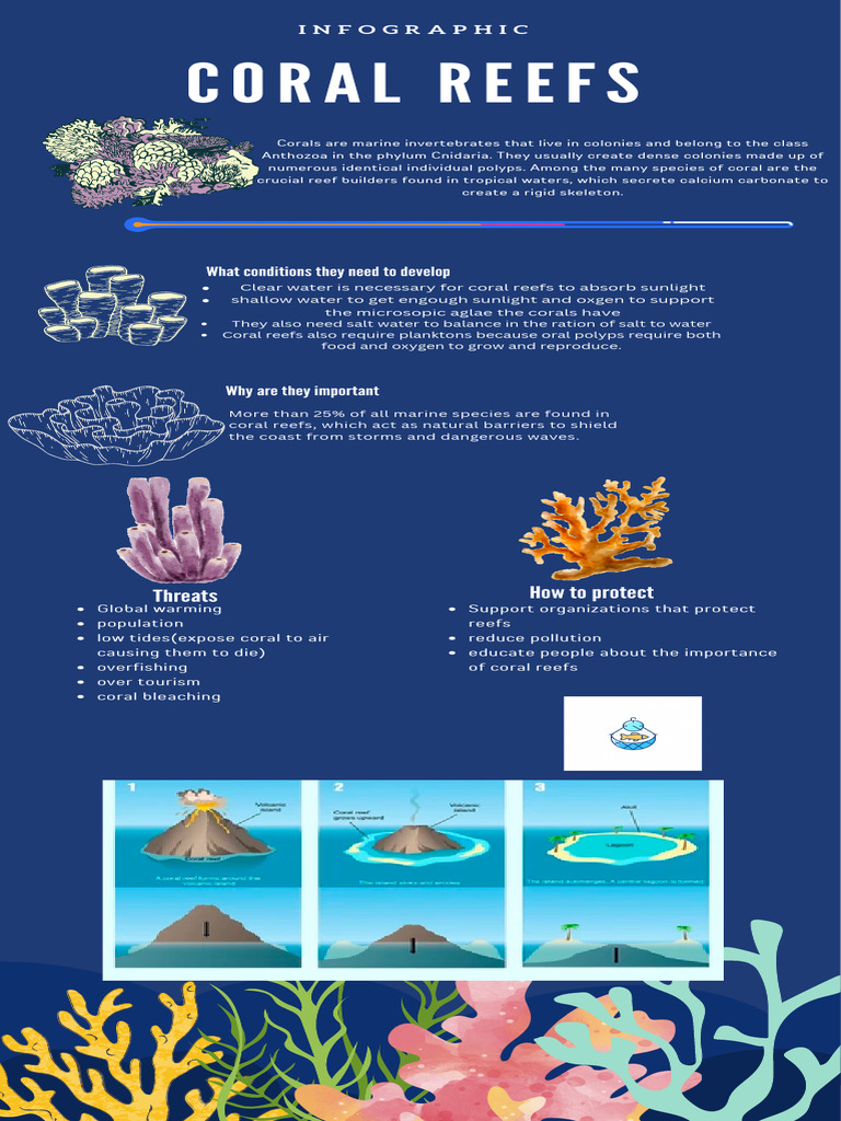 Coral Reefs | PDF | Social Science | Home & Garden