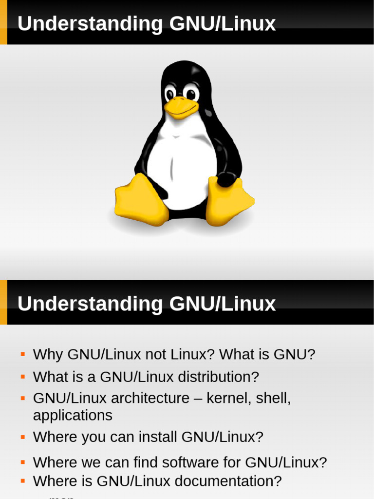 MIS Linx Intro | PDF | Computer File | Linux