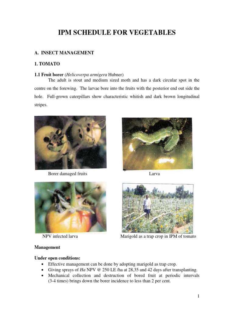 Ipm Vegetable Crops 26022015 | PDF | Pest (Organism) | Plants