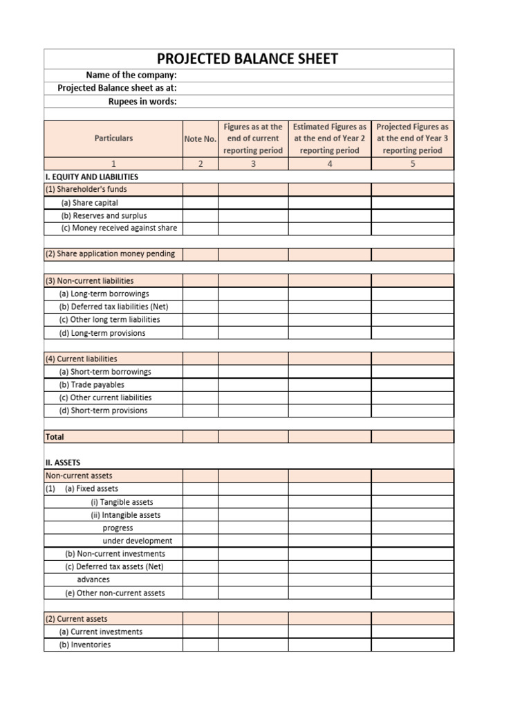 Projected Balance Sheet Format | PDF