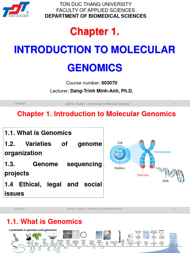 Chapter 1-Introduction To Molecular Genomics | PDF | Genome | Molecular Genetics