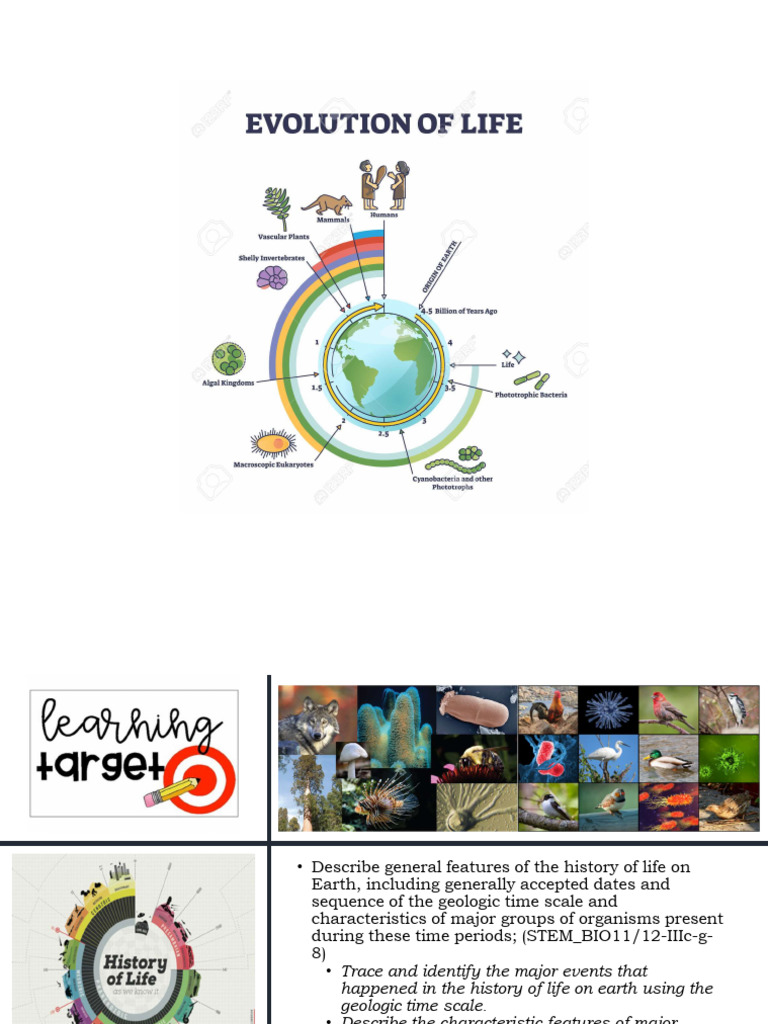 Geologic Timescale and Mechanisms of Evolution | PDF | Genetic ...