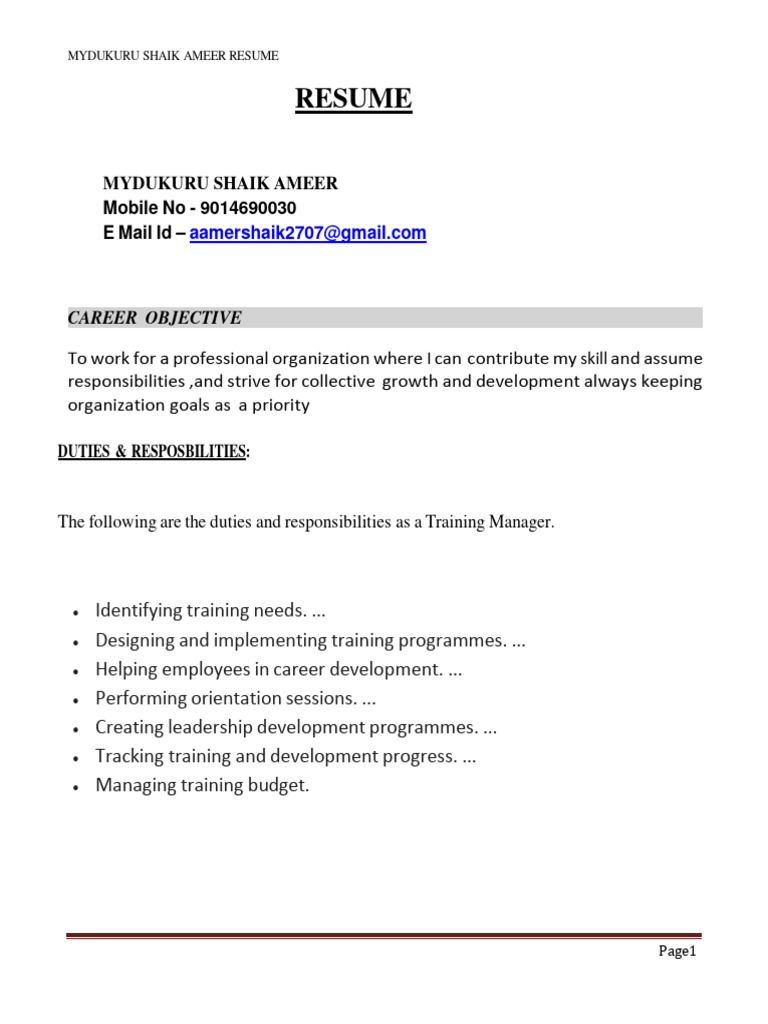 Amer Slic Resume | PDF | Business