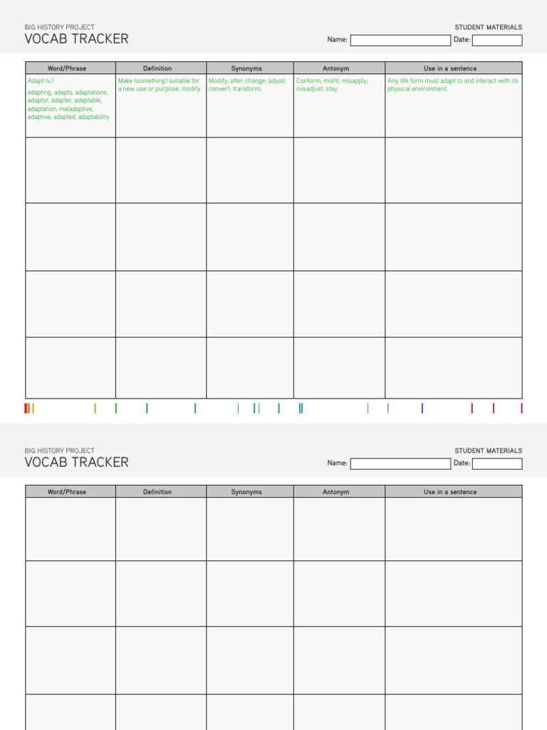 BHP Asset 2019 Vocab Tracker | PDF