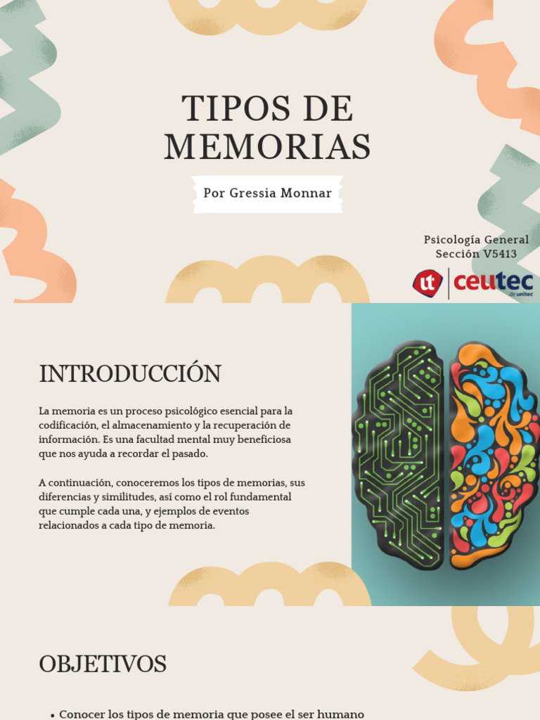 Álbum Ilustrativo de Los Tipos de Memorias | PDF | Memoria | Memoria a ...