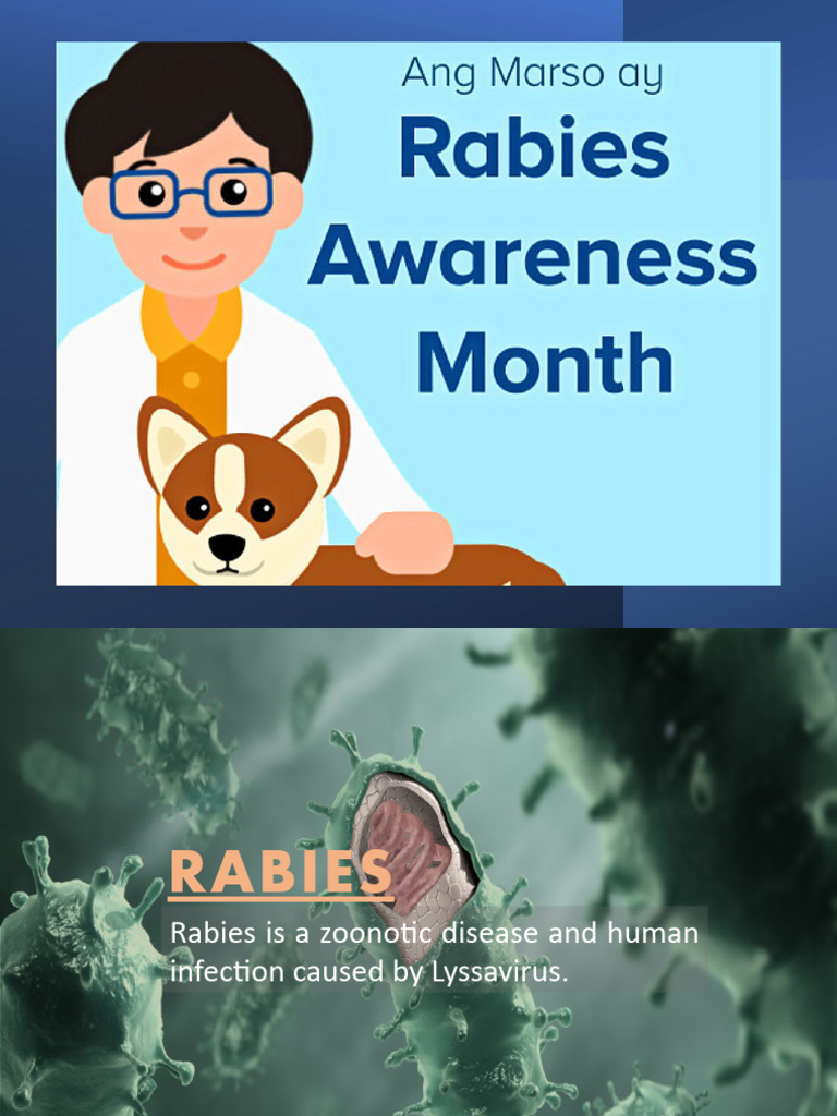 RABIES | PDF | Rabies | Virology