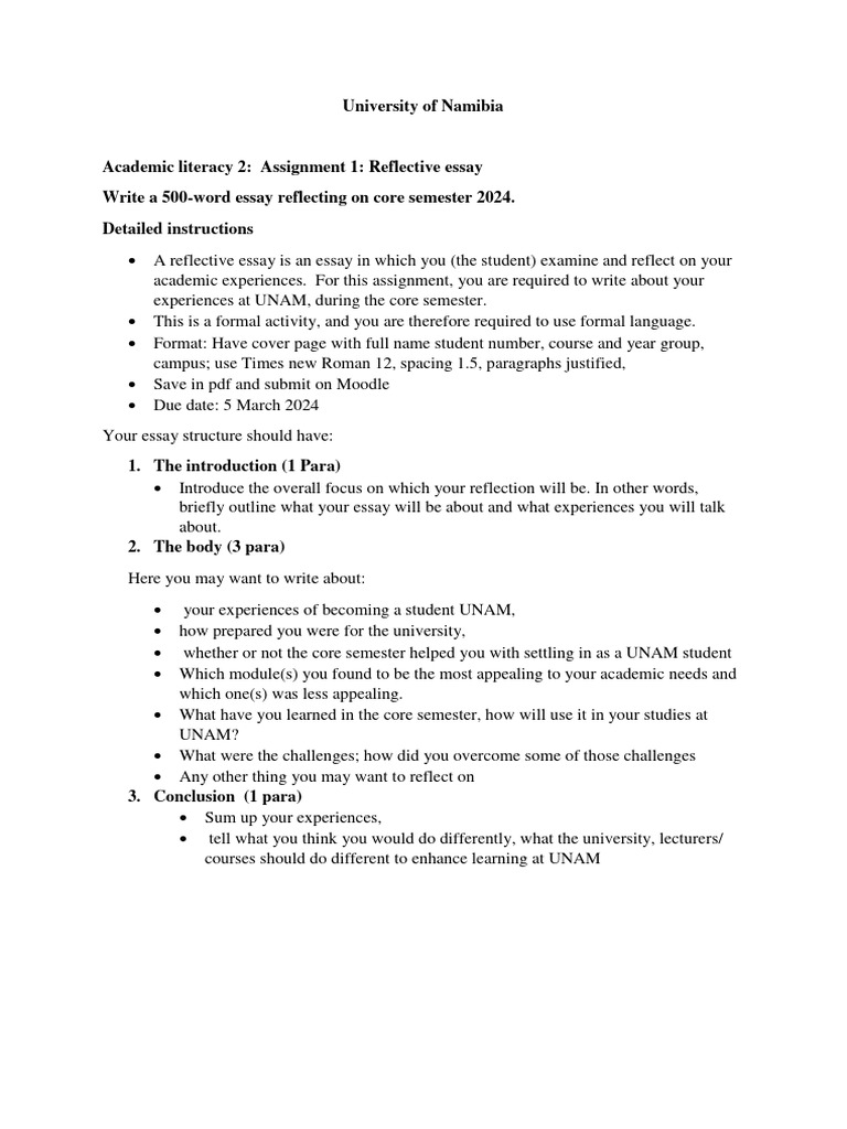 Reflective Essay Assignment | PDF | Essays | Experience