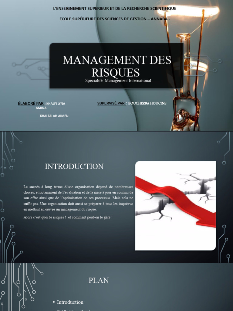 Management Des Risques | PDF | Risque | Gestion des risques