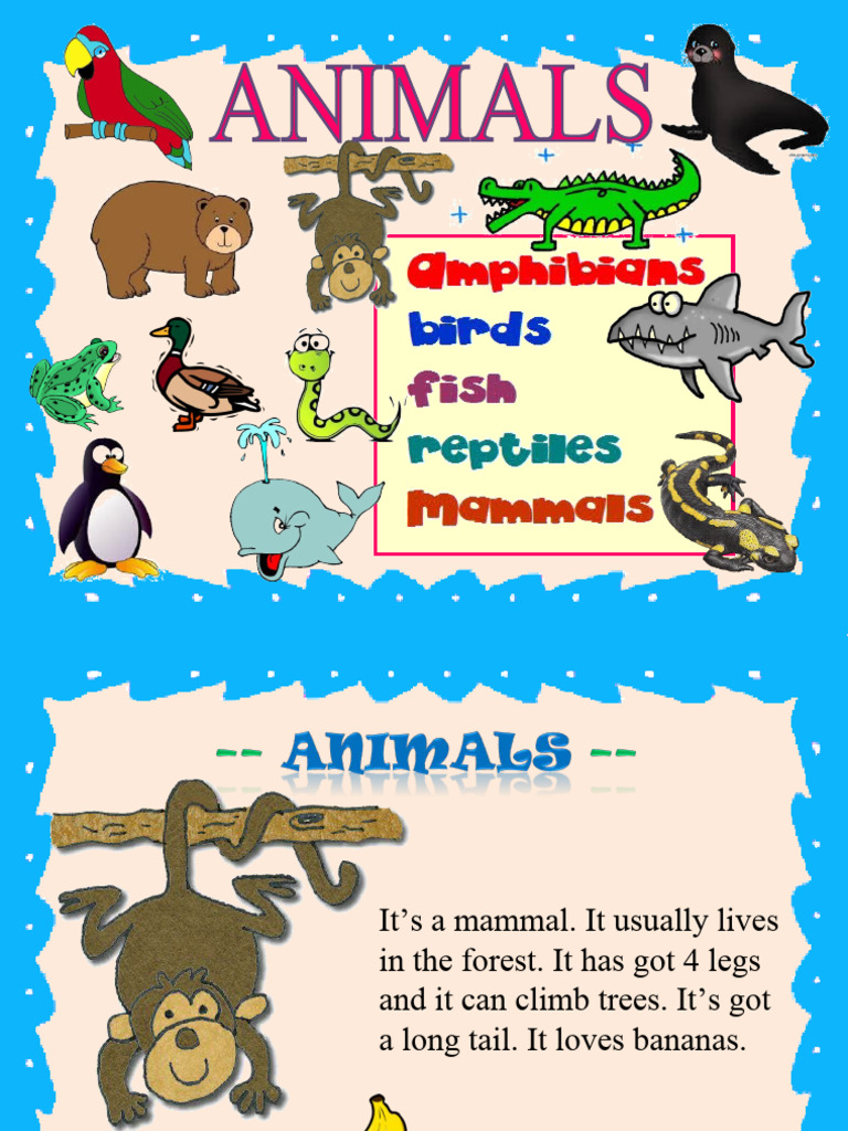 Animals Amphibians Birds Fish Reptiles Mammals Flashcards Icebreakers ...