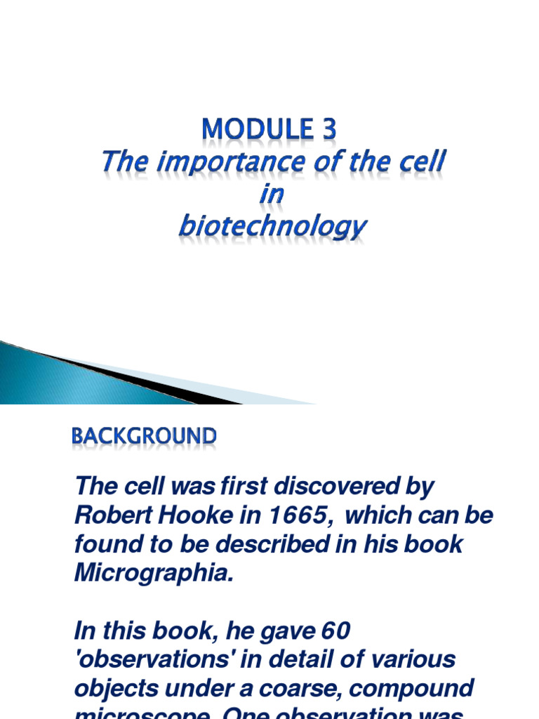 B7 | PDF | Cell Potency | Cell Membrane