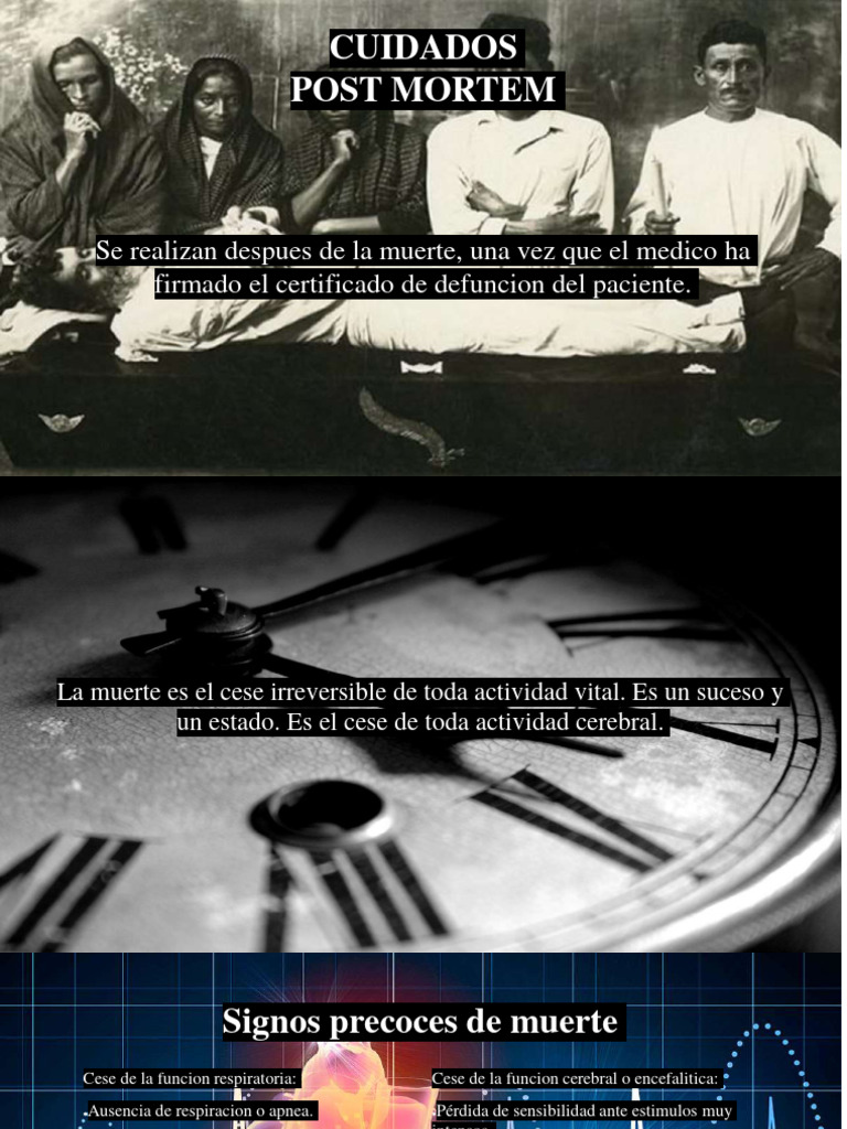 4.cuidados Postmortem | Descargar gratis PDF | Medicina CLINICA