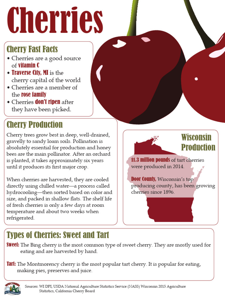 Cherries Fact Sheet | PDF | Cooking, Food & Wine | Technology & Engineering