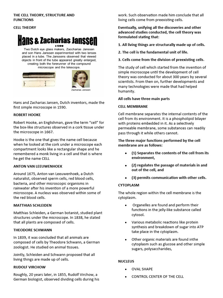 Gen Bio Q1 | PDF | Meiosis | Cell Membrane