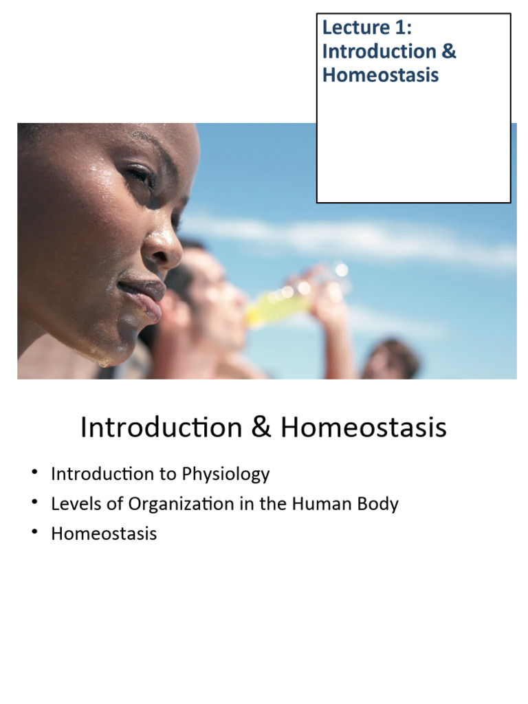 Understanding Homeostasis in Physiology | PDF | Human Body | Tissue ...