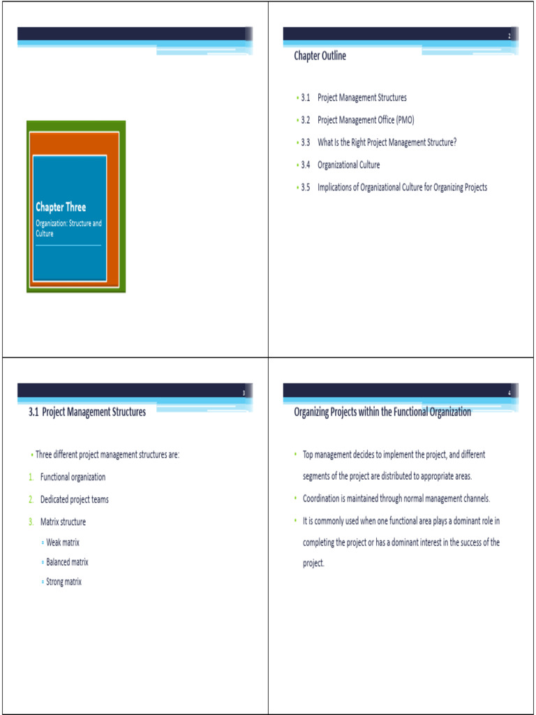 Chapter 3 - Structure and Culture | PDF | Project Management ...