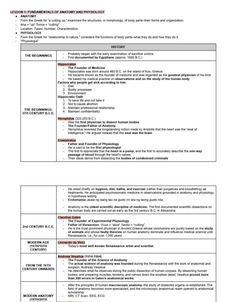 Anatomy And Physiology Reviewer Pdf Epithelium Connective Tissue