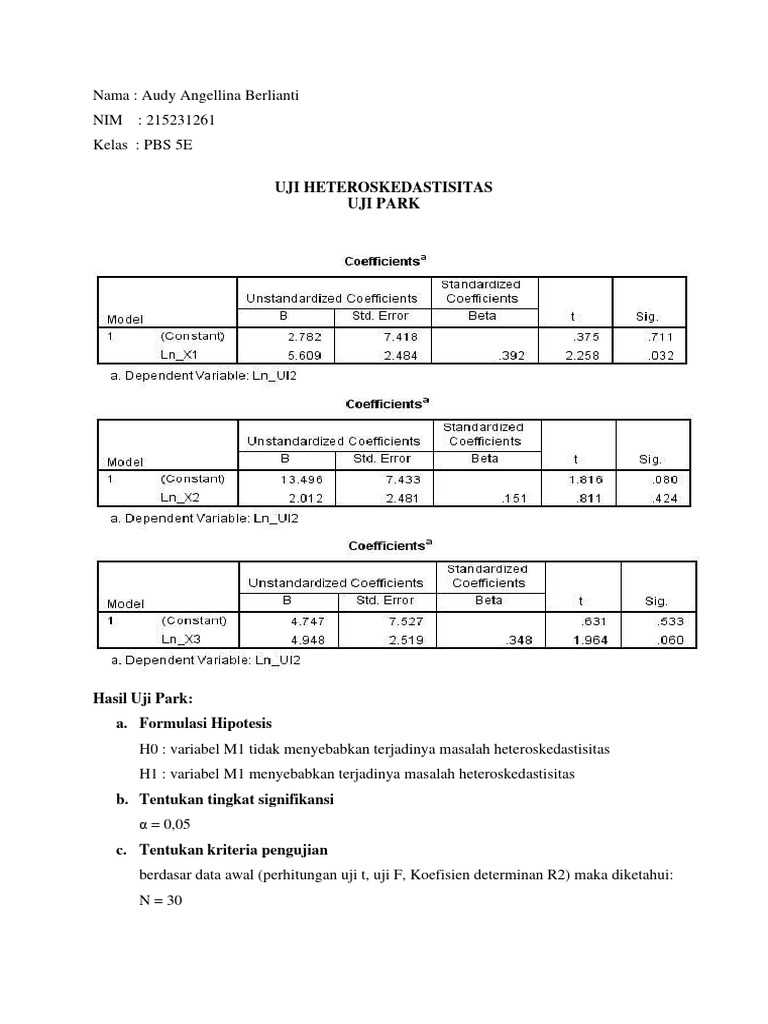 Audy Angellina Berlianti - Uji Heterosk - Uji Rank & Uji Park | PDF ...