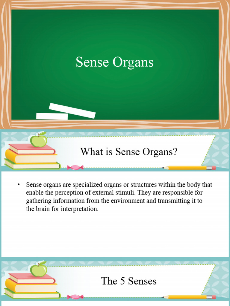 Sense Organs 2 | PDF | Science & Mathematics