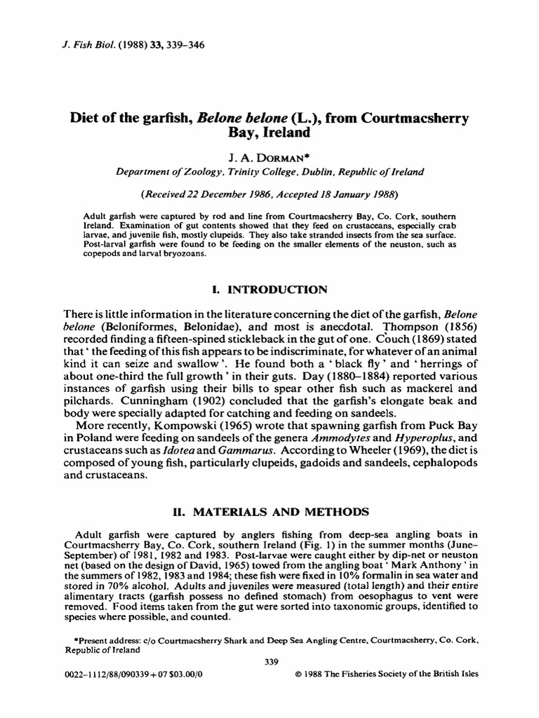 Diet of The Garfish, Belone Belone (L.), From Courtmacsherry | PDF ...