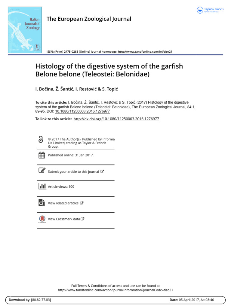 Garfish Digestive System Histology | PDF | Gastrointestinal Tract ...