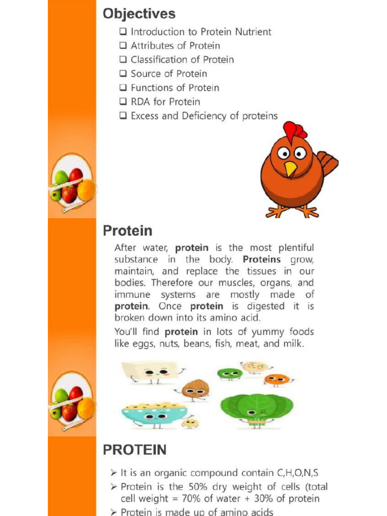Protein | PDF