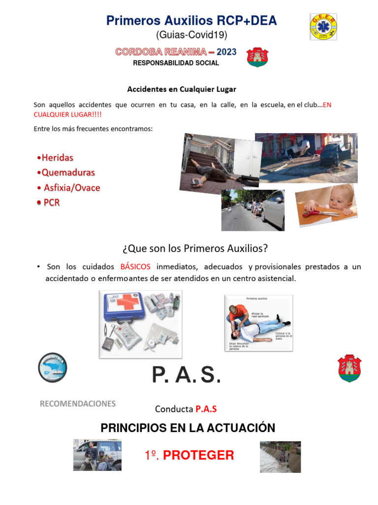 CORDOBA REANIMA GEER 2023 - 1 | PDF | Reanimación cardiopulmonar ...