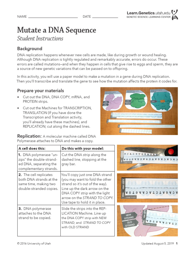 Mutation Instructions | PDF | Genetic Code | Dna