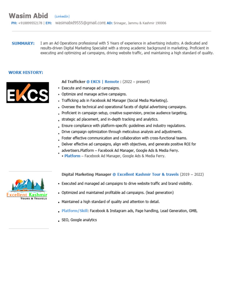 Wasim Abid. CV | Download Free PDF | Search Engine Marketing | Digital ...