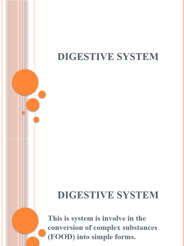 7 Digestive System | PDF | Human Digestive System | Stomach