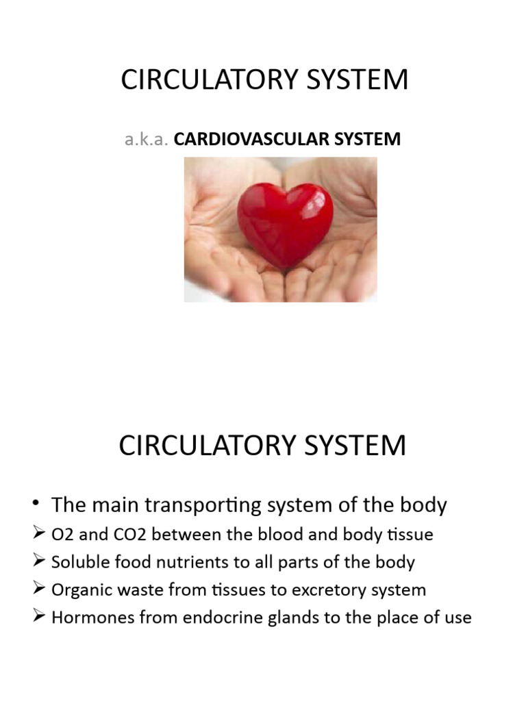 Circulatory System Overview | PDF | Heart | Heart Valve