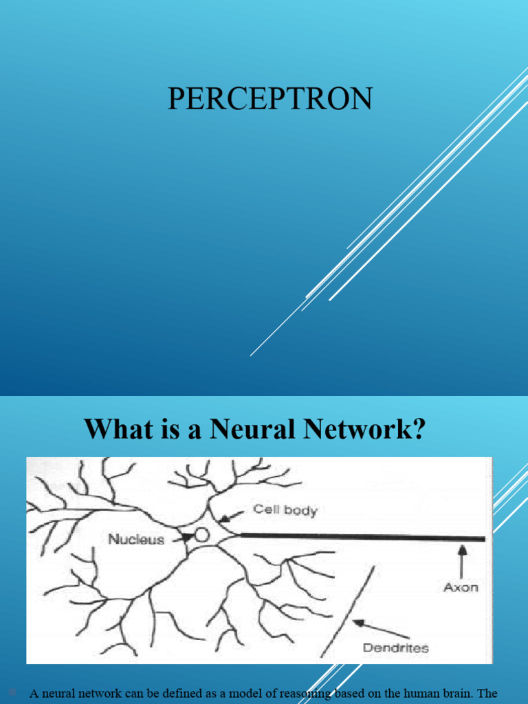 Perceptron | PDF | Artificial Neural Network | Cognition