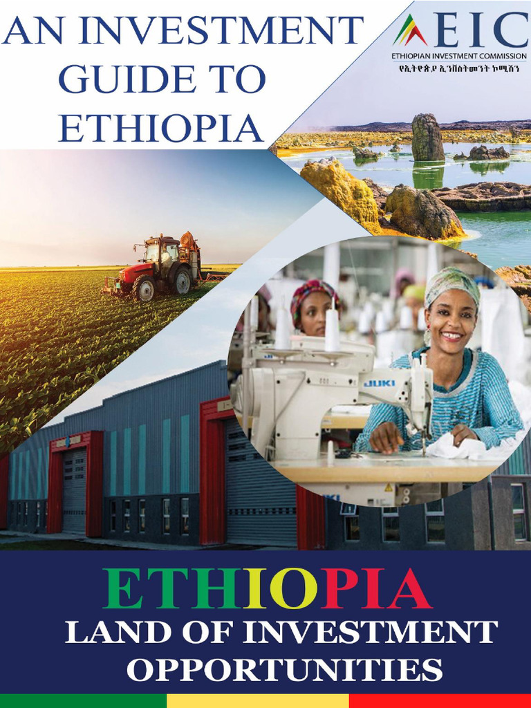 EIC Investment Guide FINAL IP Updated Feb. 2023 | PDF | Ethiopia | Information Technology