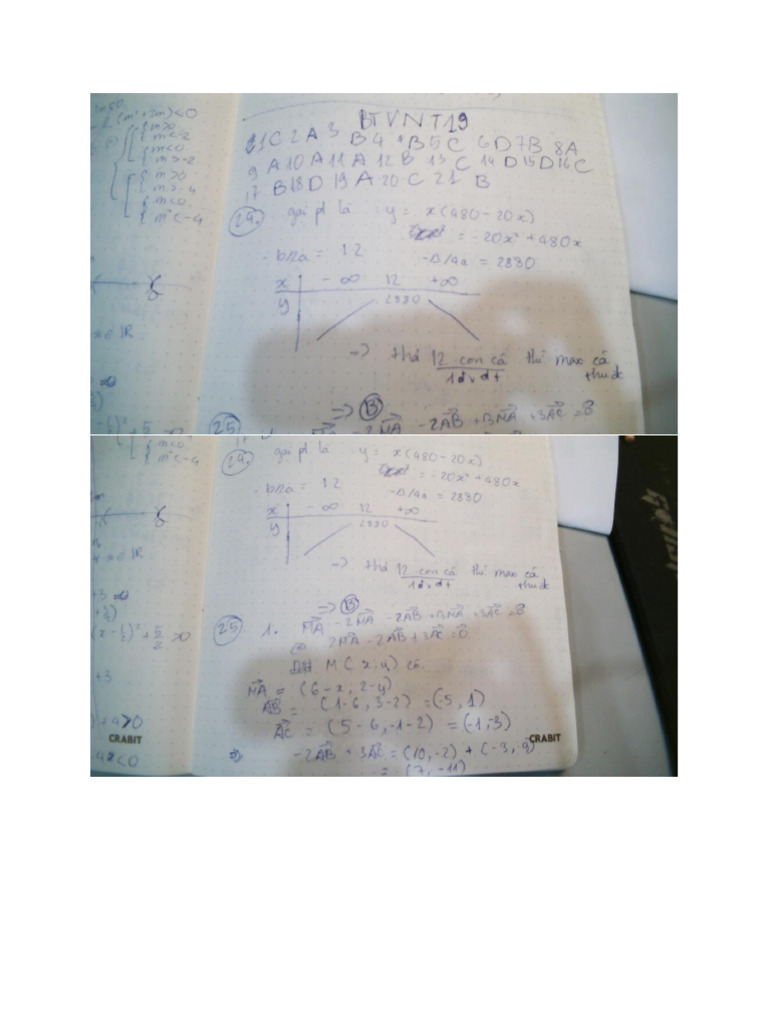 BTVN Lop 10TON Tuan 19 Pham Hieu Dung | PDF